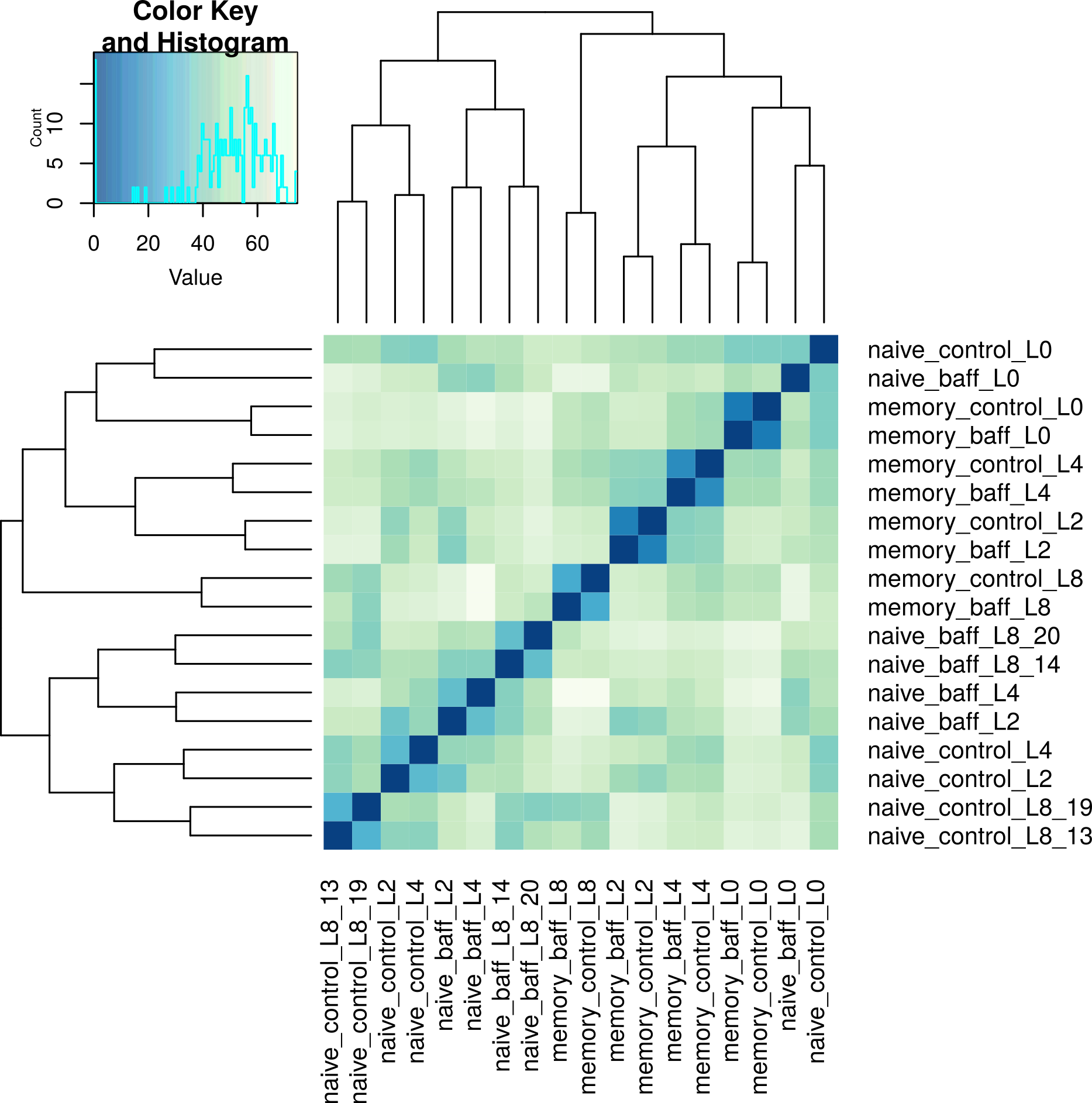 BAFF-induced changes in gene expression